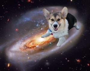 Momos In The Milky Way: 18 Epic Space Corgis - The Daily Corgi